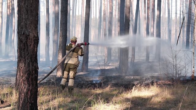 Putting Out Fire Stock Footage: Royalty-Free Video Clips - Storyblocks